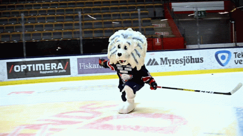 Hockey Lhc ГИФ на GIFS.RU