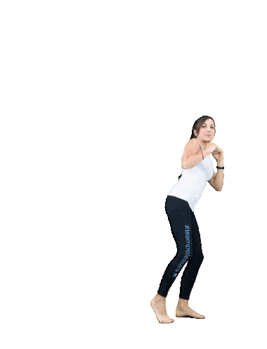 Стикер "ANCHIE,ANCHIE_FIT,KICK,DOPPELKICK,TAEBO,FITNESS,SPORT ...