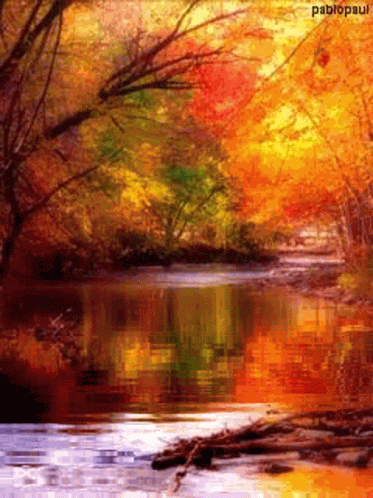 Гифка "Beautiful day Sunshine Nature River", лучшая gif анимация от ...