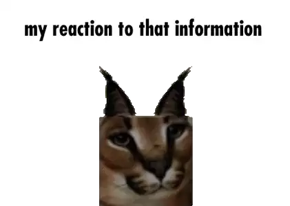 Floppa Information Стикер на GIFS.RU
