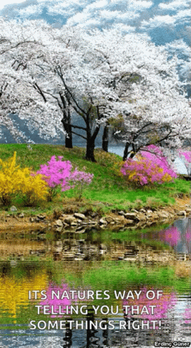 Lake Nature ГИФ на GIFS.RU