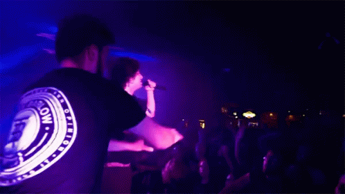 Concert Crowd ГИФ на GIFS.RU